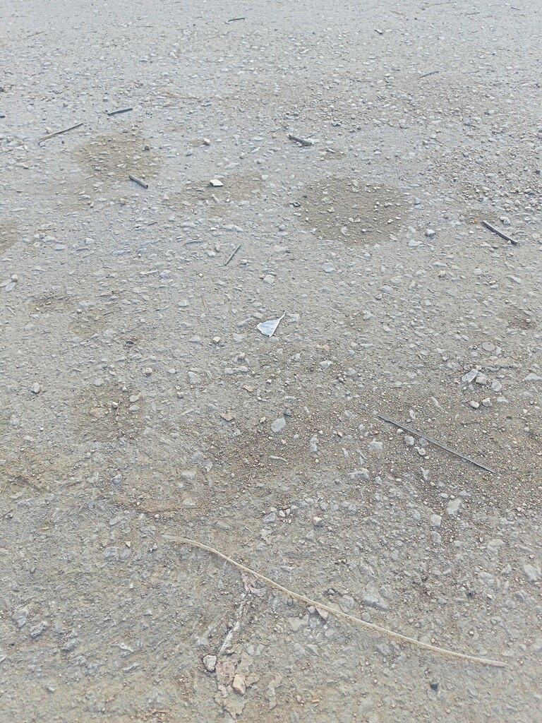 Eğitim merkezleri Alaaddinbey Özel Eğitim Mesleki Eğitim Merkezi, Bursa, foto