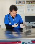 Minipati Veteriner Kliniği (Uşak, Uşak Merkez , Ünalan Mah., 1. Bostancı Sok.), veteriner klinikleri  Uşak'tan