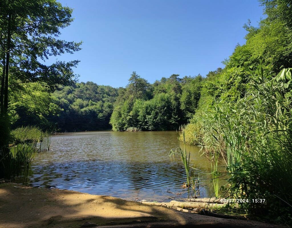 Piknik alanı Dipsiz Göller Piknik Alanı, Çınarcık, foto