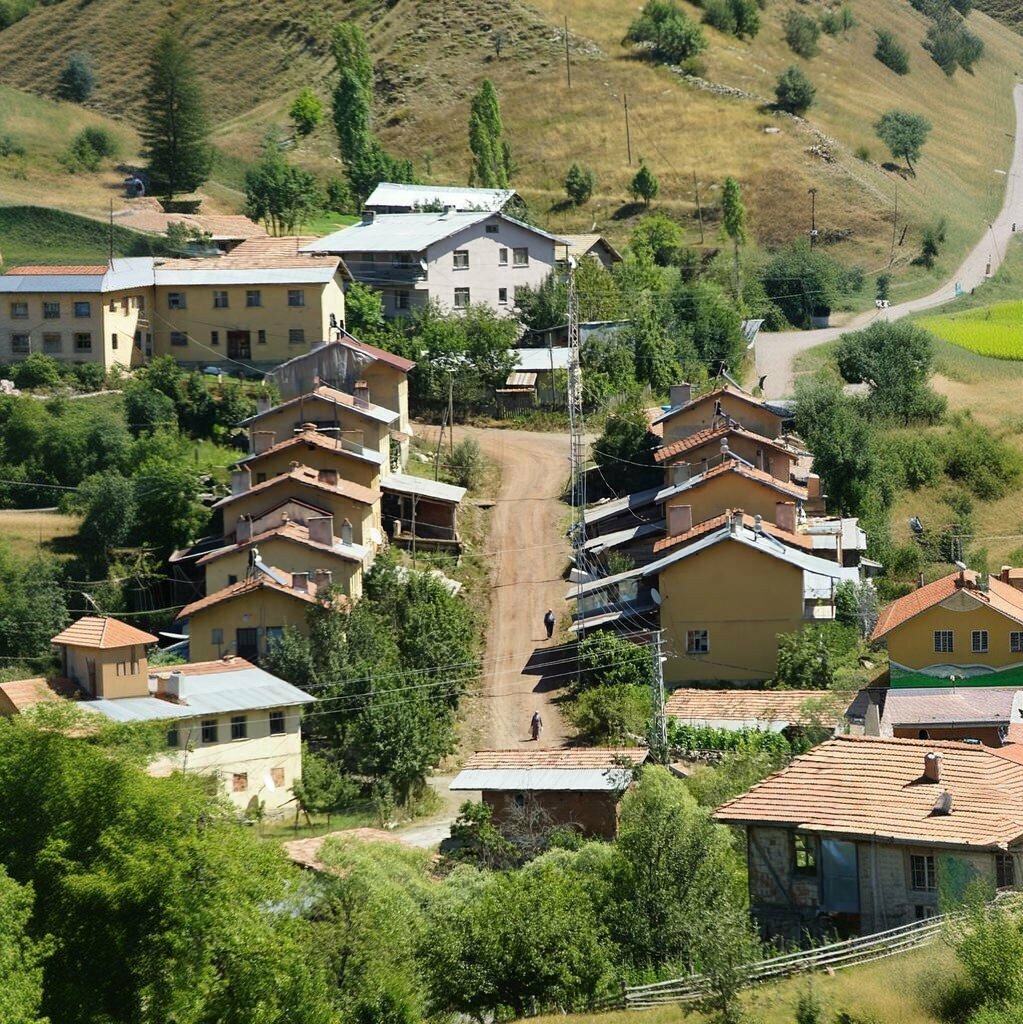 Muhtarlıklar Dağçatağı Köy Muhtarlığı, Tosya, foto