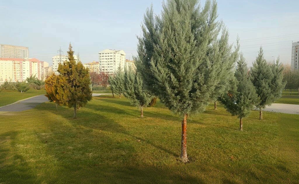 Kültür ve eğlence parkları Kanuni Parkı, Ankara, foto