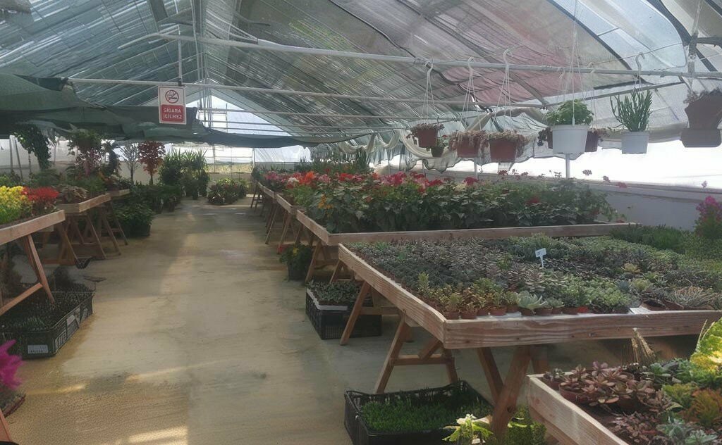 Tarım ürünleri firmaları Fidesan Sebzecilik Meyvecilik, Kastamonu, foto