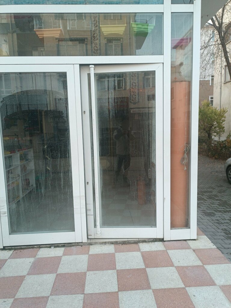 Petshop Aleyna Akvaryum Petshop, Ankara, foto