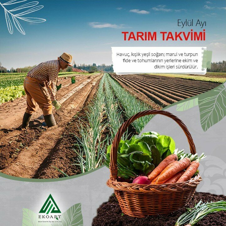 Tarım firmaları Ekoart Tarım, İzmir, foto