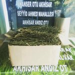 Şifalı Ot (Manisa, Akhisar, Seyit Ahmet Mah., 298. Sok.), özel muayenehaneler  Akhisar'dan
