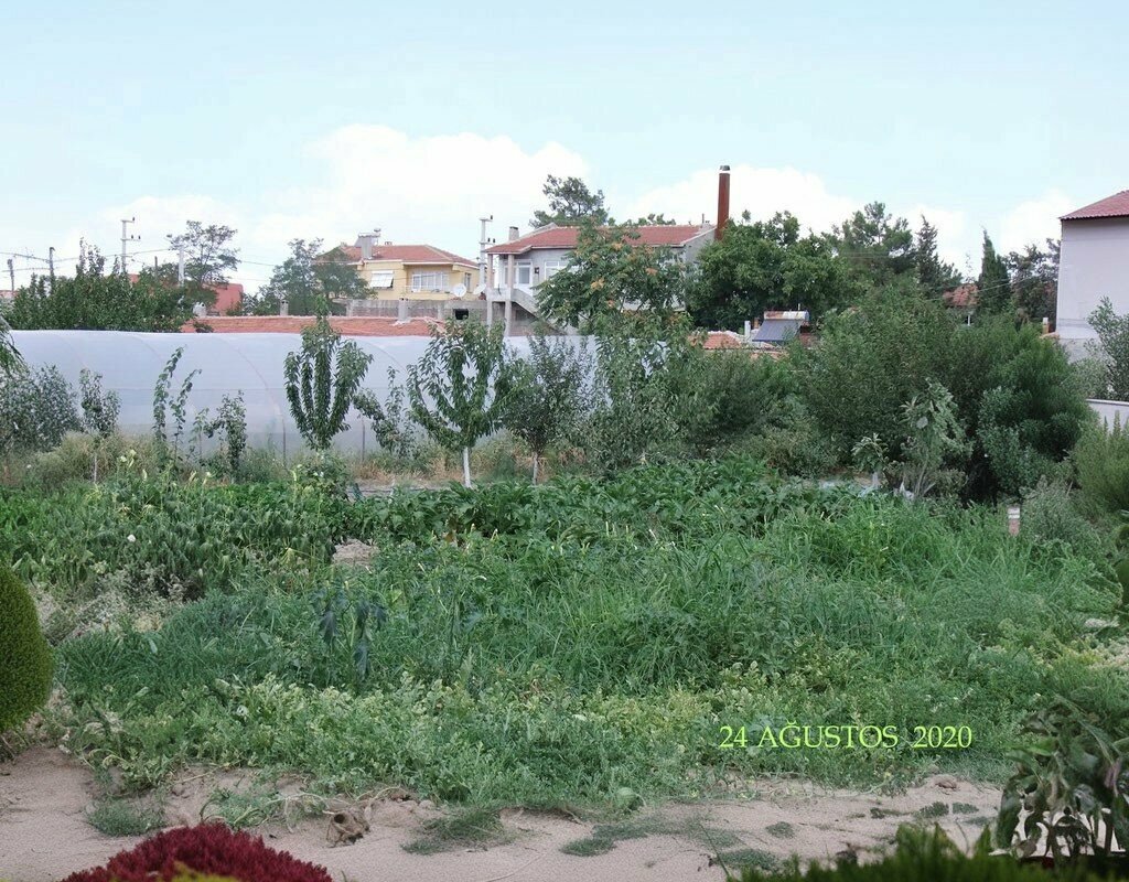 Cami Turpçular Köyü Cami, İpsala, foto