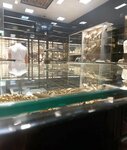 Bayazıt Kuyumculuk (Ağrı, Doğubayazıt, Büyük Ağrı Cad., 138), kuyumcular  Doğubayazıt'tan