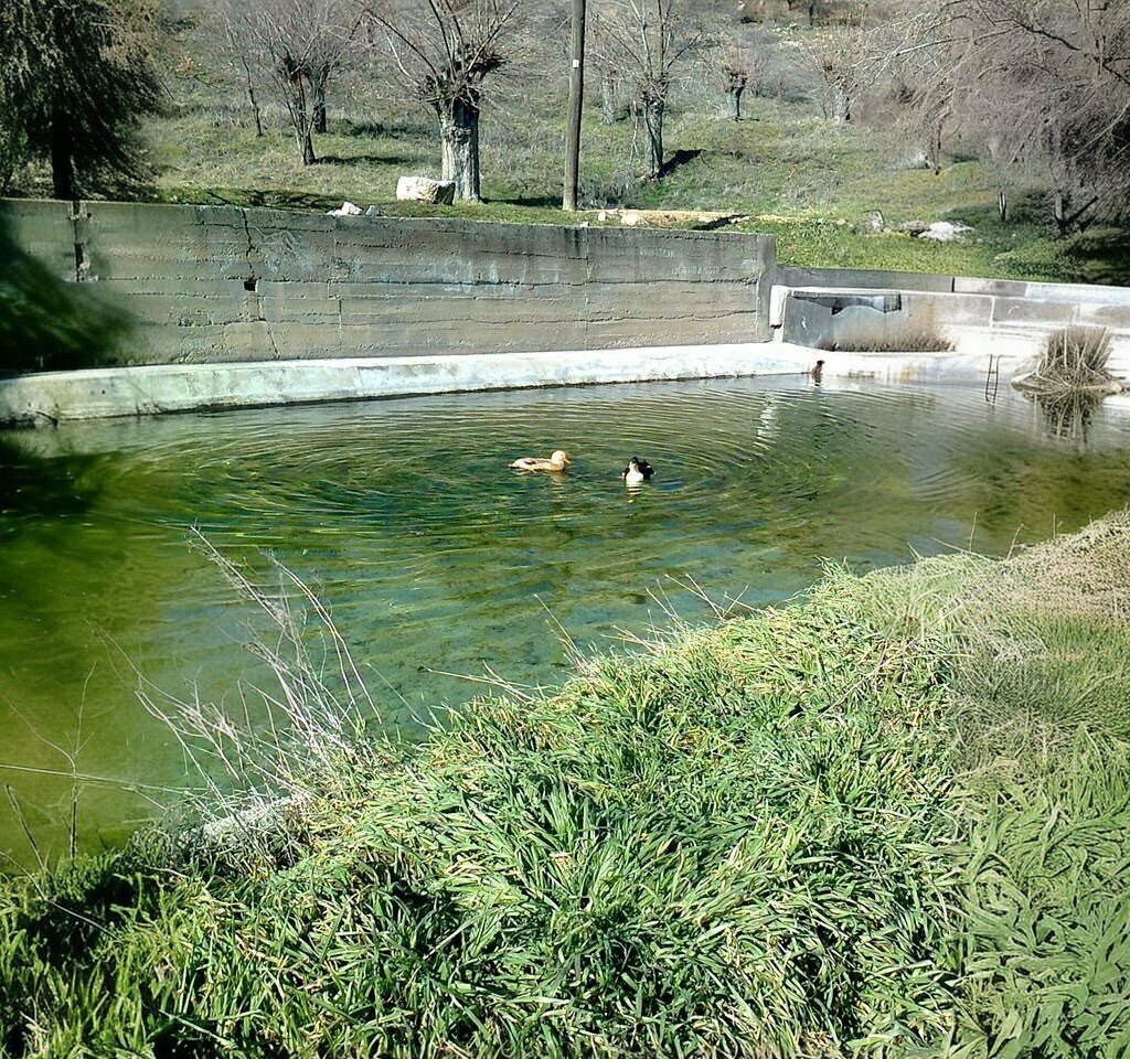 Cami Kozluk Köyü Cami, Elazığ, foto