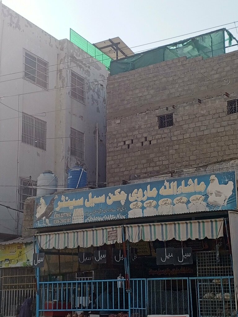 Kanatlı hayvan ürünleri ve yumurta Mashallah poultry, Karaçi, foto