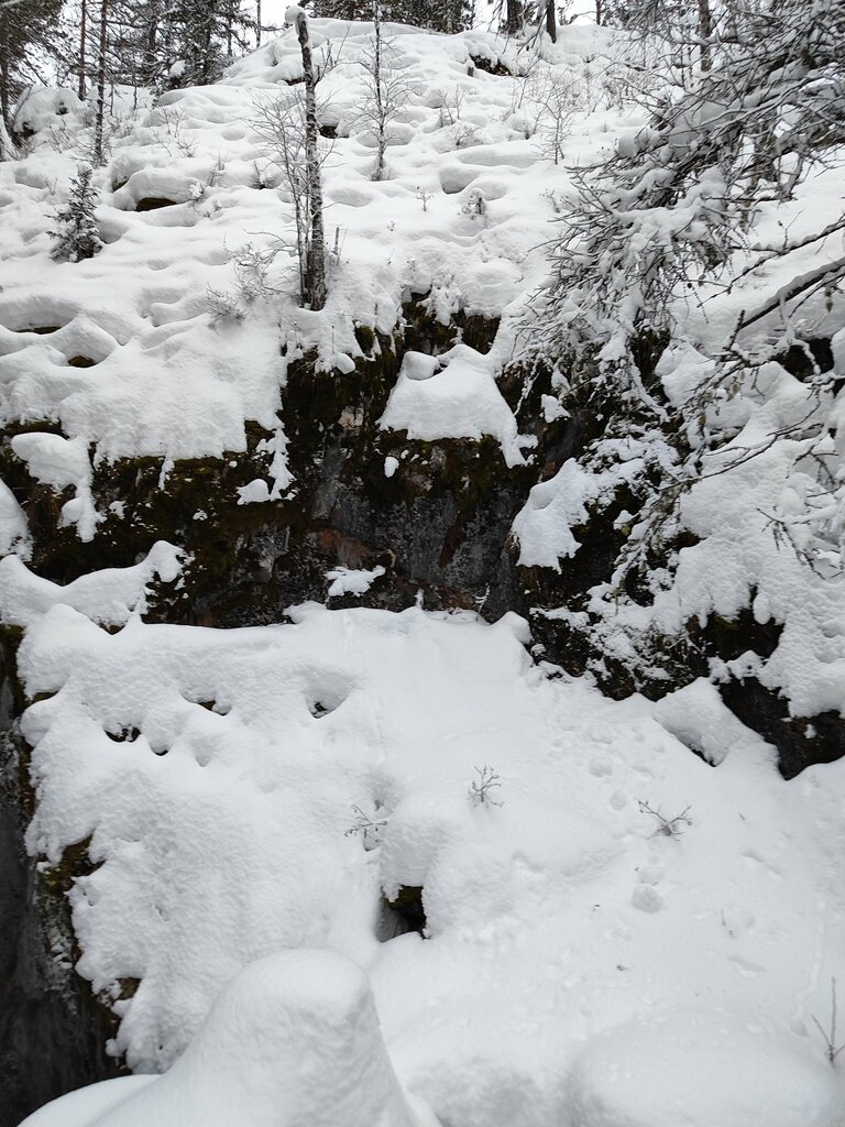 Piknik alanı Место для пикника, Çeliabinskaya oblastı, foto