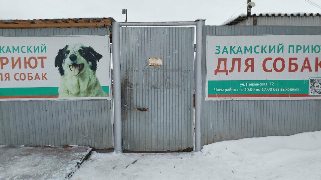 Hayvan barınakları, kulüpleri ve otelleri Закамский приют для собак, Perm, foto