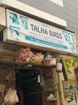 Talha birds (Jenna's Street No:D81), petshop  Karaçi'den