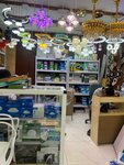 Adex Shop (Abidjan, Rue M109), yapı mağazası  Abican'dan