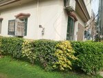 Home (Province of Punjab, Lahore, Johar Town, Block B3), adlandırılmış bina  Lahor'dan