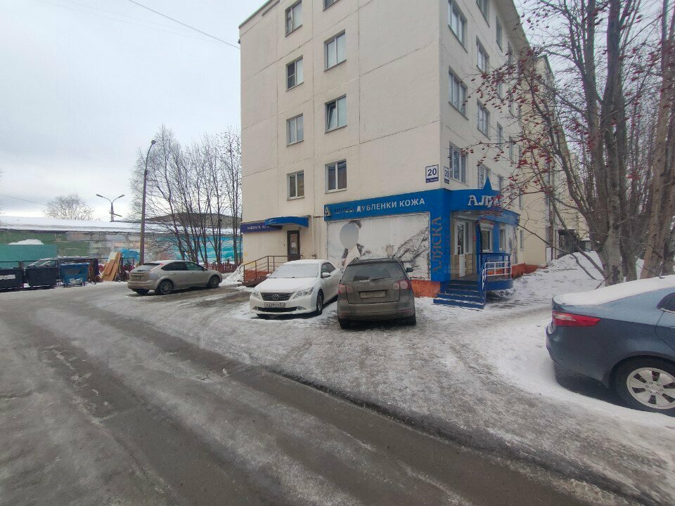 Uçak ve demiryolu biletleri Barents Avia, Murmansk, foto