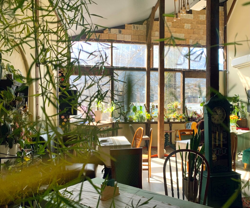 Bar Как Дома, Soçi, foto