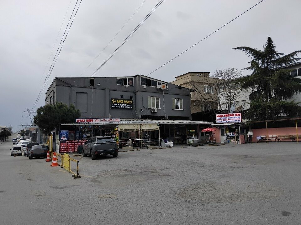 Gıda üreticileri Anka Yıldızı Cafe & Restaurant, İstanbul, foto