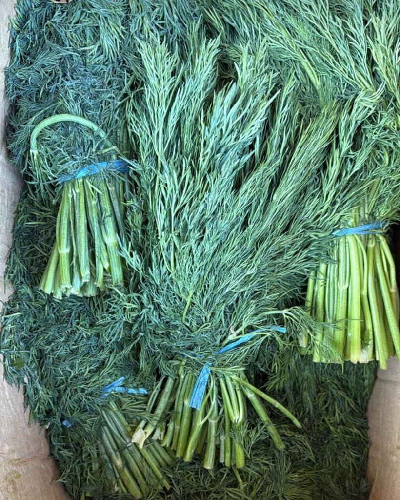 Manavlar Vegetables, fruits, Krasnodarski krayı, foto