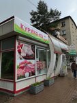 Курико-ко (Sverdlovsk Region, Yekaterinburg, Strelochnikov Street), market  Yekaterinburg'dan