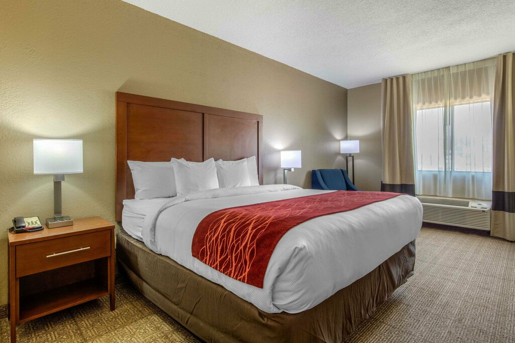 Otel Comfort Inn & Suites, , foto