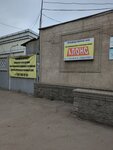 Alons (Mahambet Ótemisov kóshesi No:2/10, Alatau City Administrative District, Shańyraq-1 shaǵyn aýdany), otomobil servisi  Almatı'dan