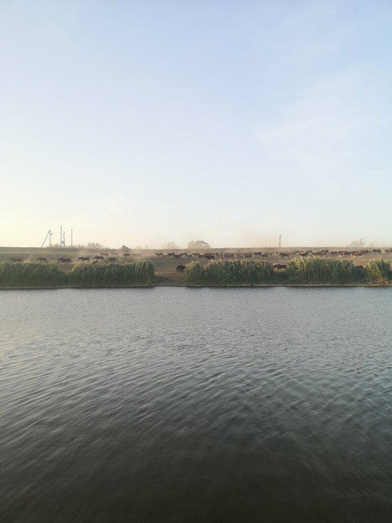 Piknik alanı Место для пикника, Saratovskaya oblastı, foto
