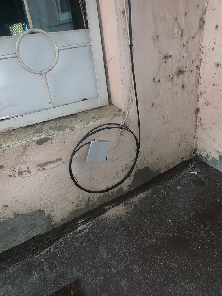 Bilişim firmaları Speckless-Enterprise, Rostov‑na‑Donu, foto