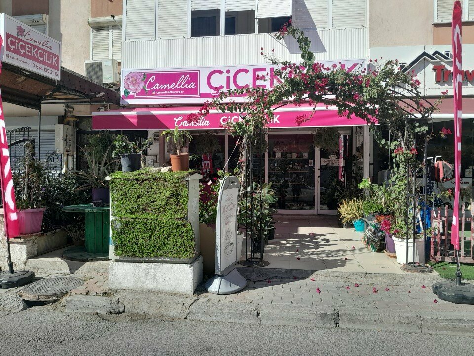 Çiçekçiler Camellia Çiçekçilik, İzmir, foto