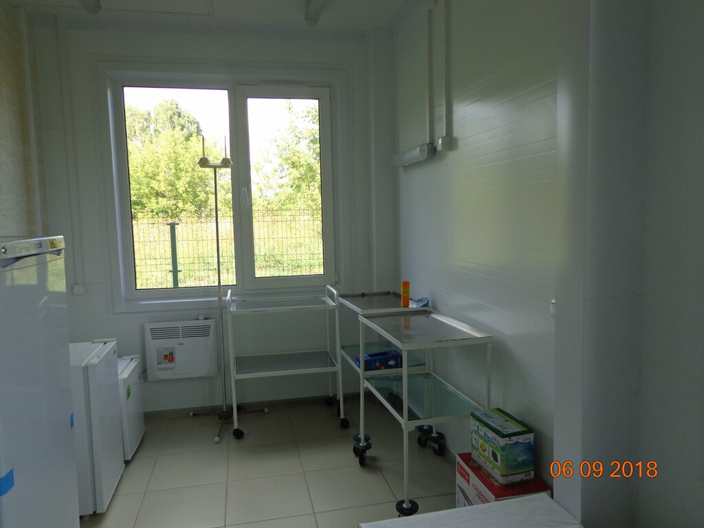Aile sağlığı merkezi Уть-Сюмсинский фельдшерско-акушерский пункт, Udmurtiya, foto