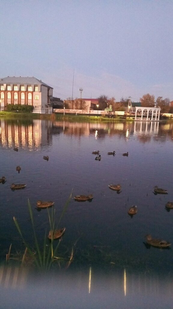Metro istasyonu Sinnonhyeon subway station, Seul, foto