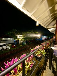 TunaTuna33 (Southern), kafe