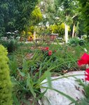 Tropic Garden Aile Çay Bahçesi (Antalya, Kaş, Gelemiş Mah., Likya1 Cad., 11), kafe  Kaş'tan