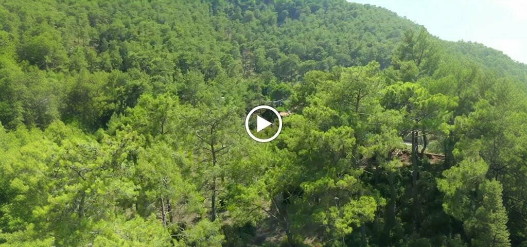 Pansiyonlar, hosteller Göçebe Bungalov, Ortaca, foto