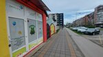 Kermit (Hadži Ruvimova ulica No:32), anaokulları  Novi Sad'dan