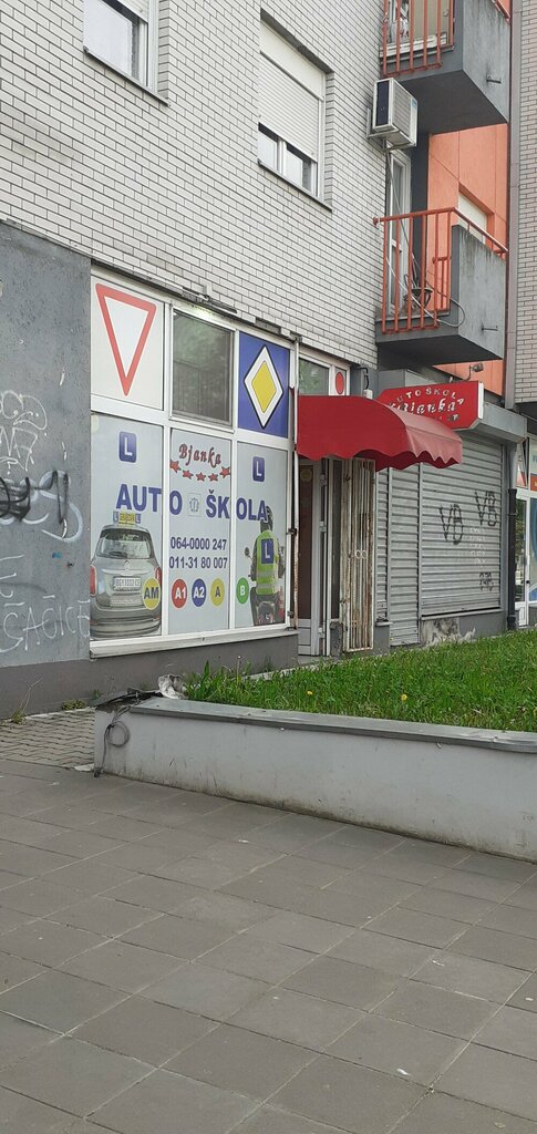 Sürücü kursları Auto Skola Bjanka, Belgrad, foto