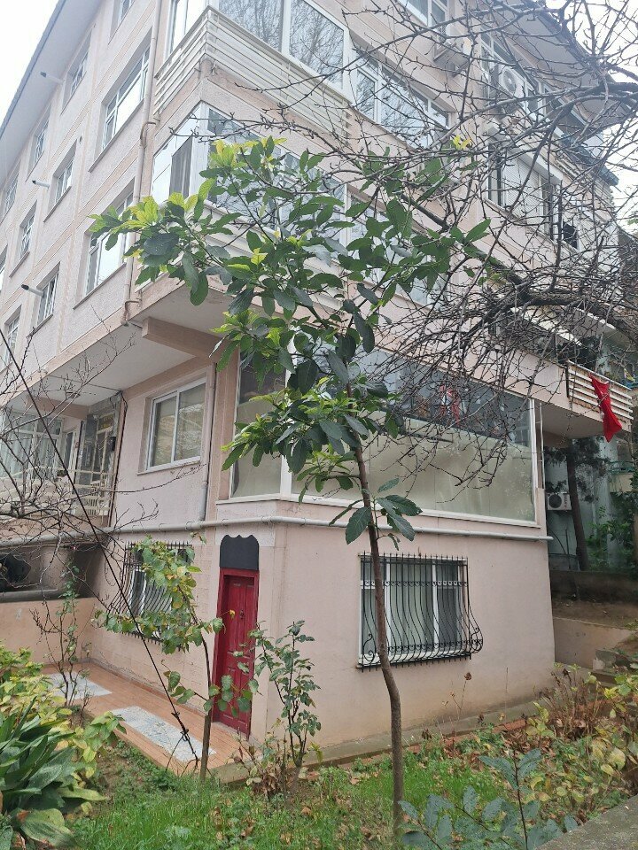 Ses ve ışıklandırma ekipmanları firmaları Ella Kostüm Evi, İstanbul, foto