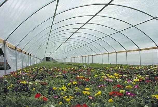 Manavlar Bahçe Tarım Manav, İstanbul, foto