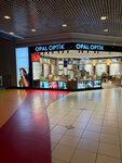 Opal Optik (İstanbul, Büyükdere Cad., 22A), optik  İstanbul'dan