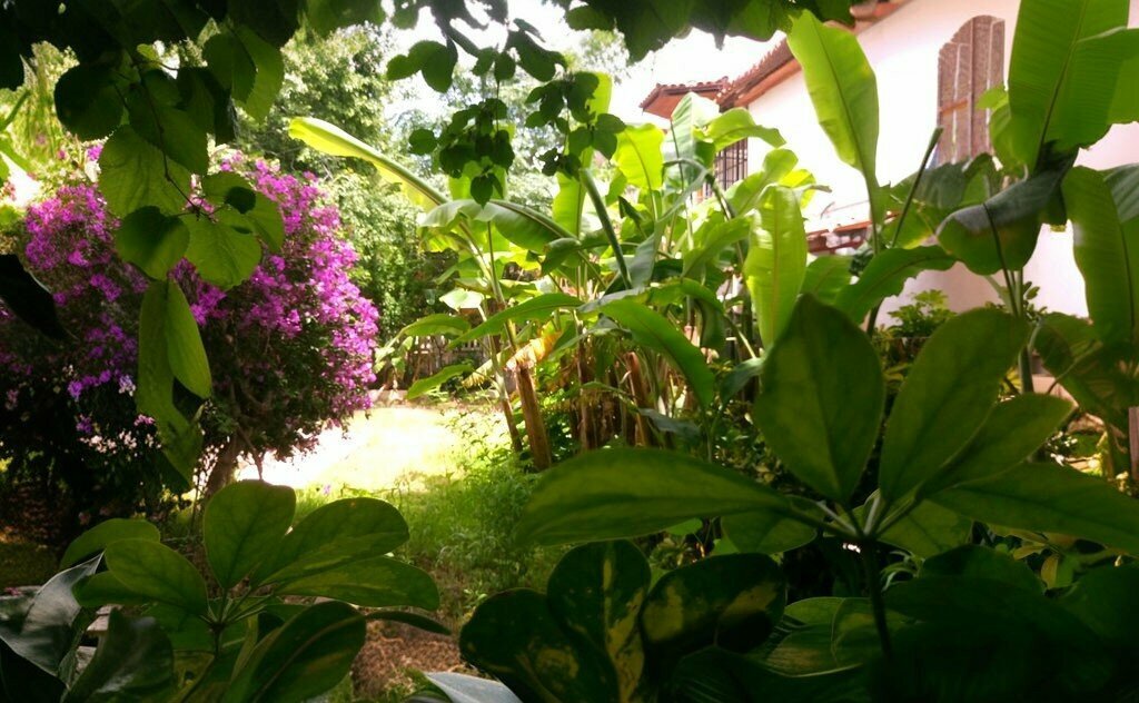 Restoran Residence Garden Restoran, Kemer, foto