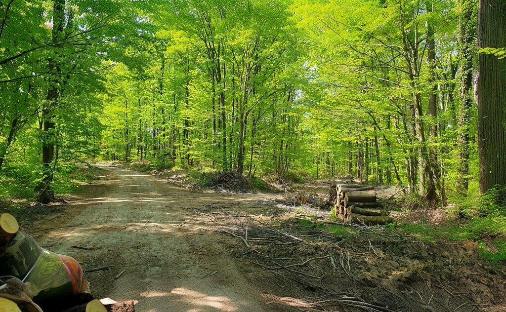 Şelale Kuzuludere Şelalesi, Çatalca, foto