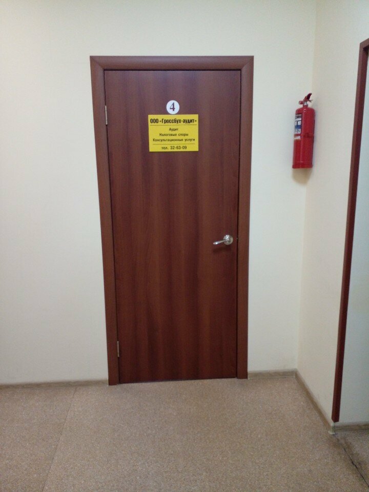 Mali denetleme şirketleri Grossbukh-Audit, Vladimir, foto