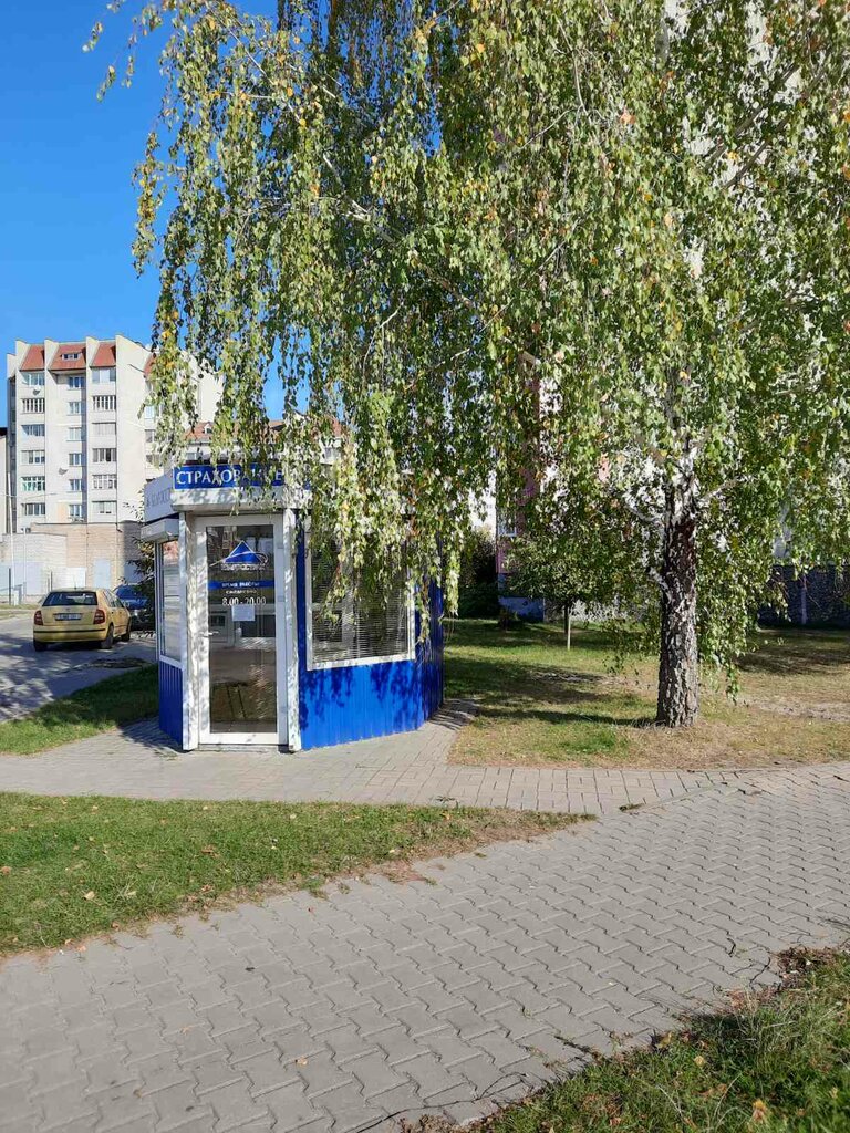 Sigorta şirketleri Belgosstrakh, Kobrin, foto