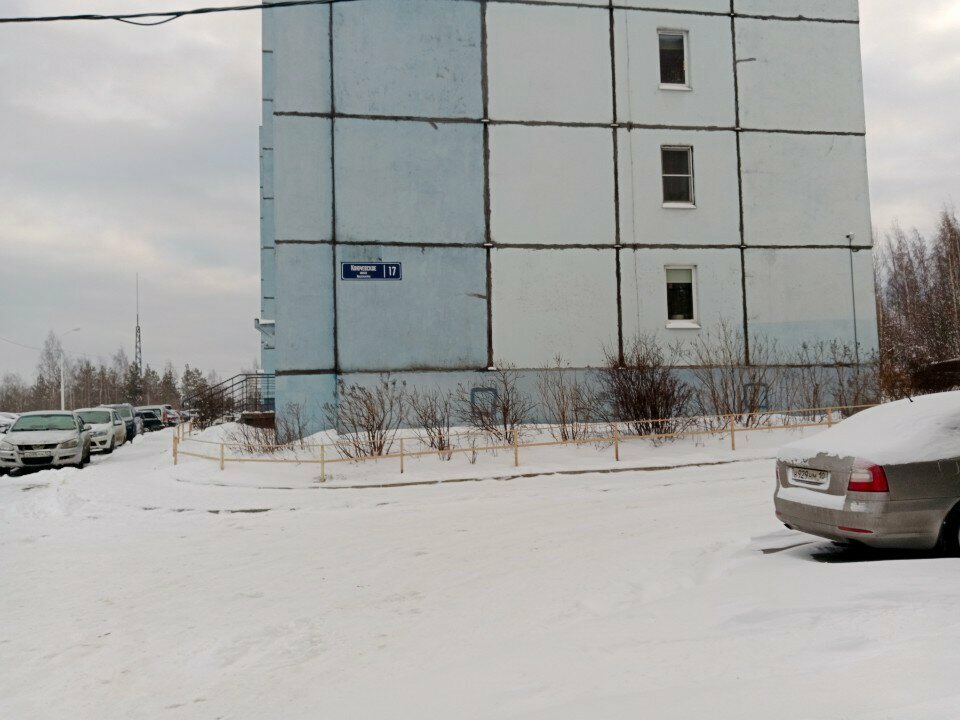 Bina, site yönetimi ТСЖ Ключевской, Petrozavodsk, foto