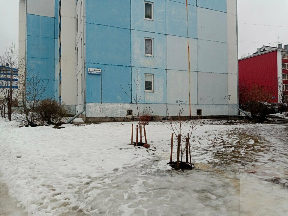 Bina, site yönetimi ТСЖ Ключевая, 6, Petrozavodsk, foto