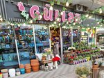 Güllər (Mir Celal Street No:59K, Nesimi District), çiçekçiler  Bakü'den