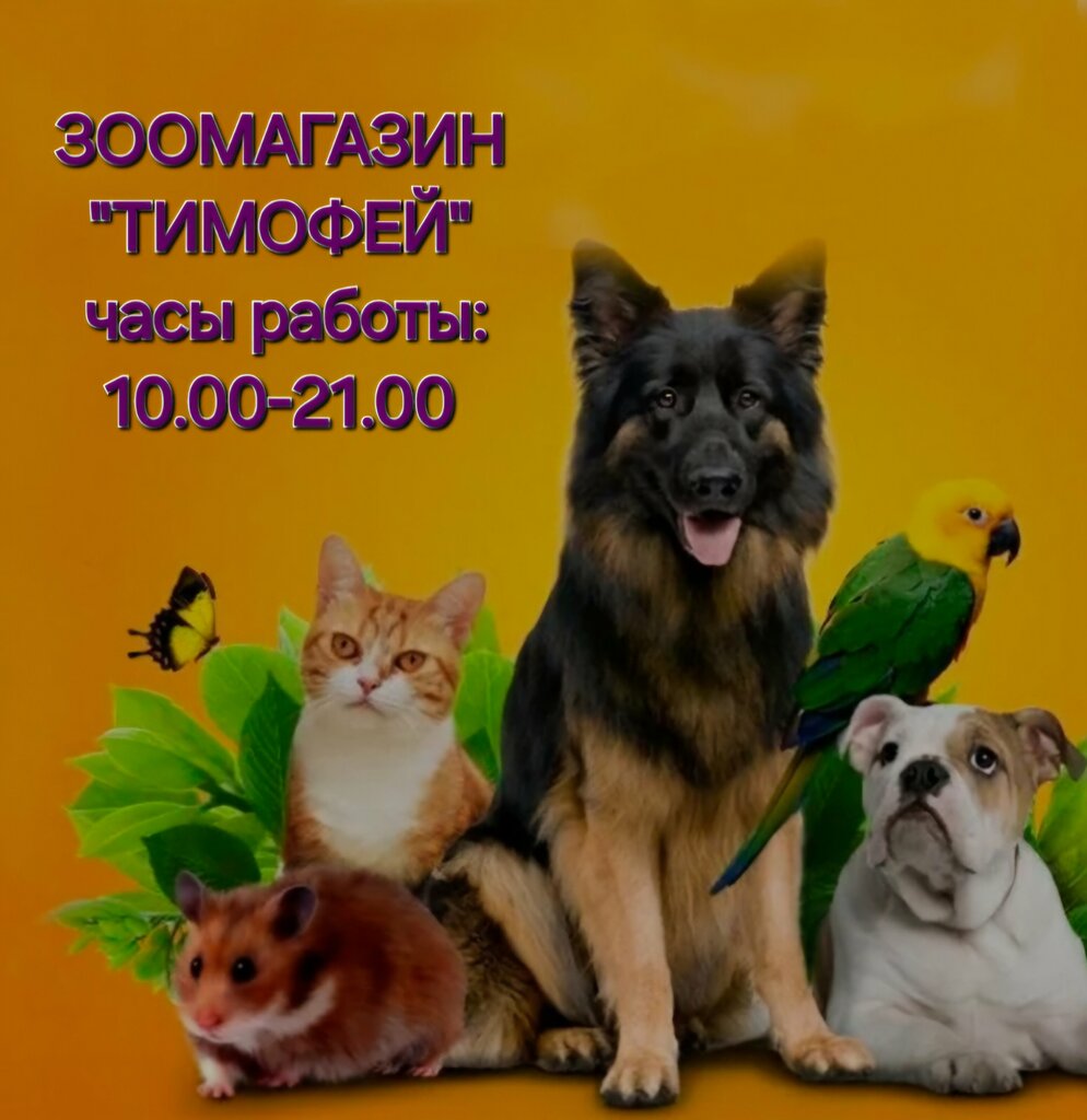 Petshop Тимофей, Solneçnogorsk, foto