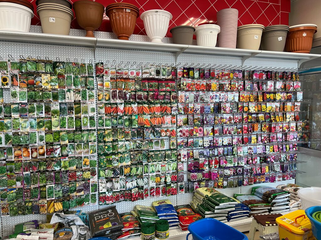 Çiçekçiler Огородник, Oziory, foto