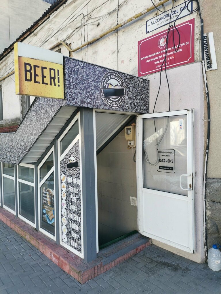 Bira dükkanı PitStop Bar, Kişinev, foto