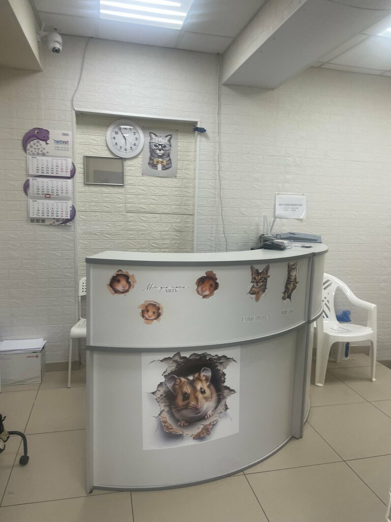 Evcil hayvan kuaförleri Мохнатка, Moskova, foto