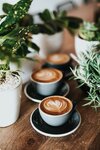 Rocs Coffee (Mersin, Yenişehir, Nevit Kodallı Cad., 3A), kahve dükkanları  Mersin'den